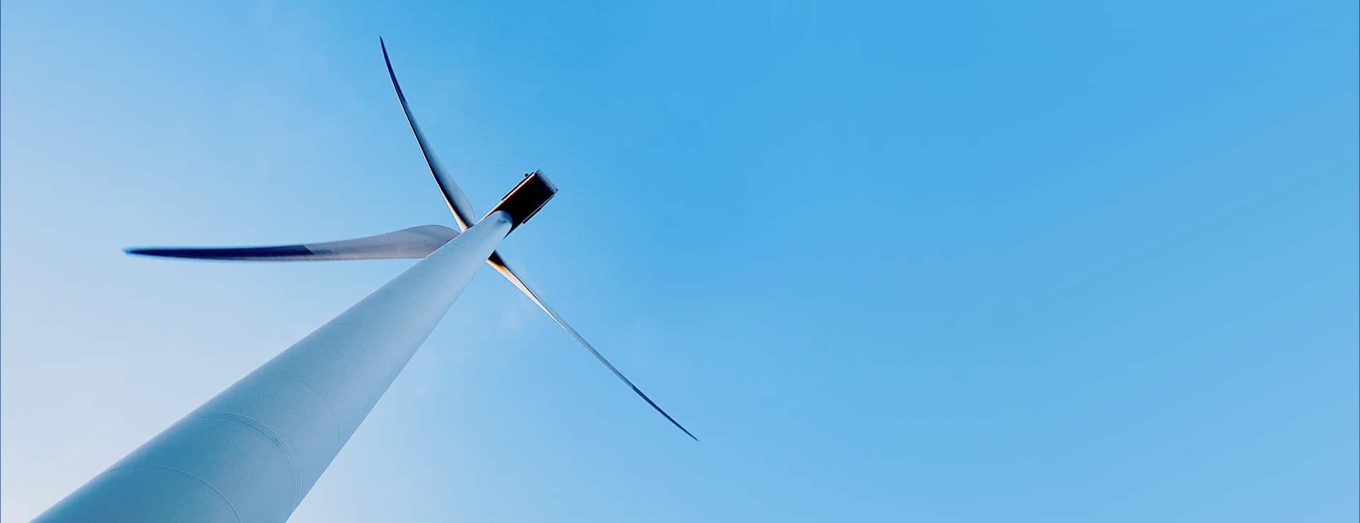 Neoen signs 126 MW wind PPA in Finland with Heineken, Philips, Signify ...
