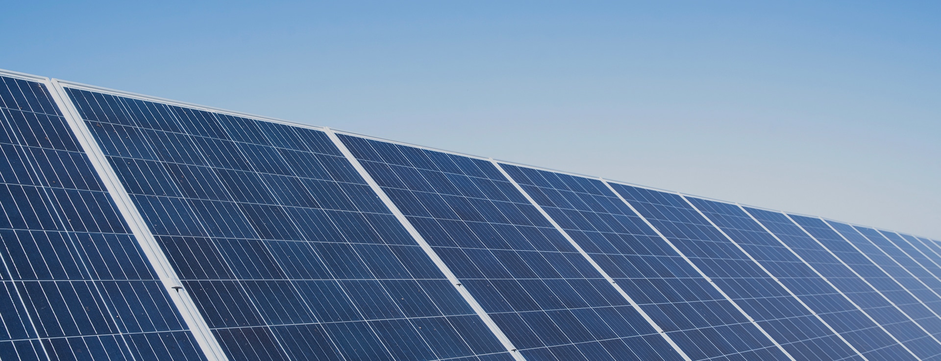 Neoen wins 81.6 MWp in solar projects in France - Neoen