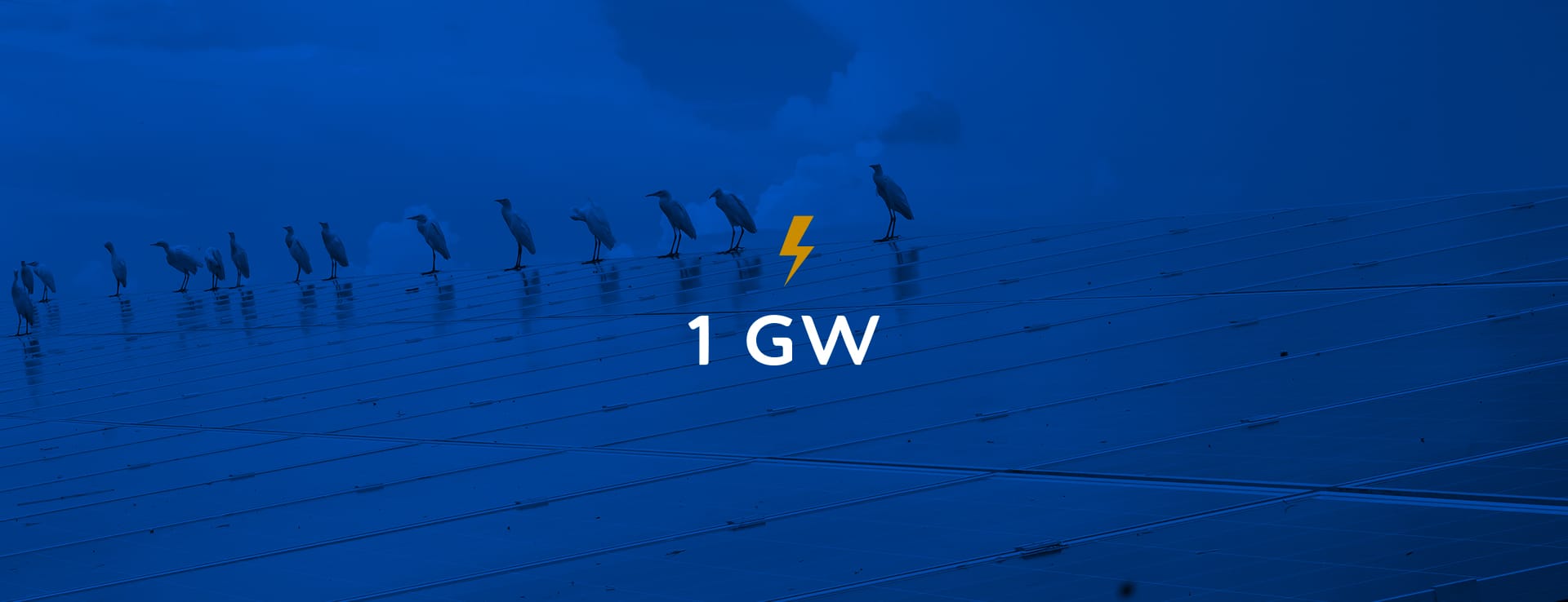 Neoen attains one gigawatt of renewable energy in operation or under ...