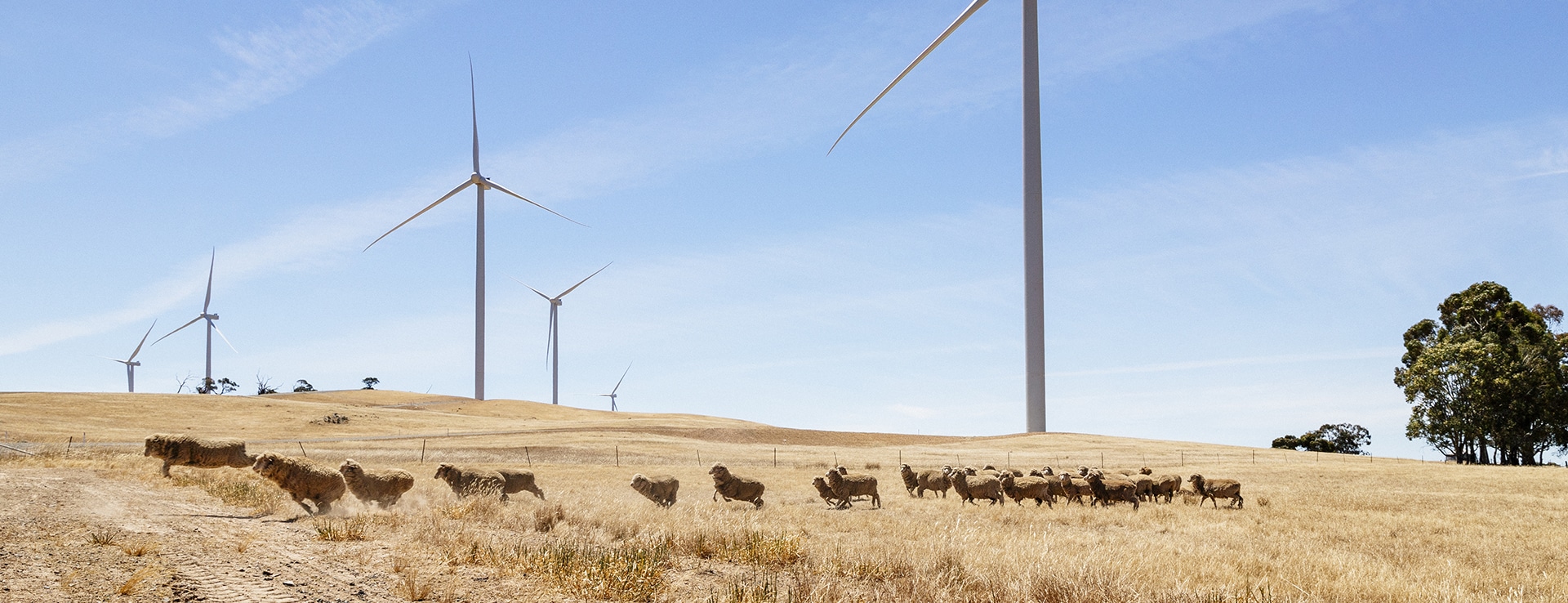 Neoen’s Bulgana Green Power Hub begins full-scale commercial operation ...