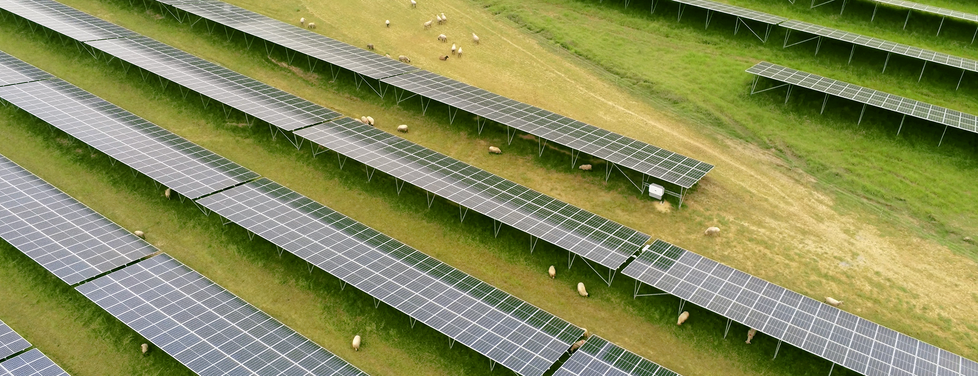 Neoen remporte 104,4 MWc de nouveaux projets solaires en France - Neoen