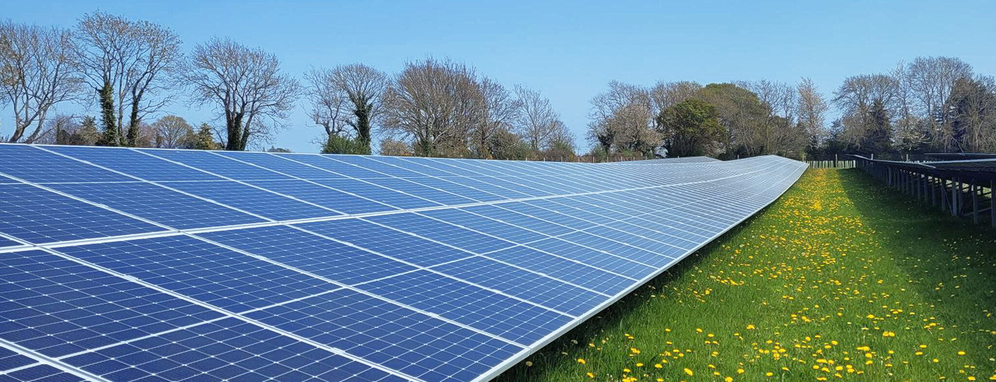 Neoen launches construction of two new solar farms in Ireland, nearly ...